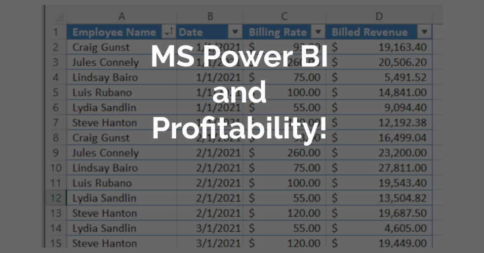 How To Use Power BI To Display Employee Profitability In A Services ...