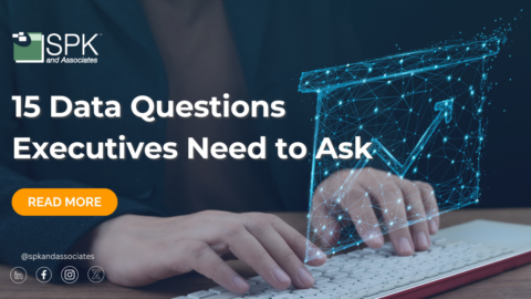 15 Data Questions Executives Need to Ask - SPK and Associates