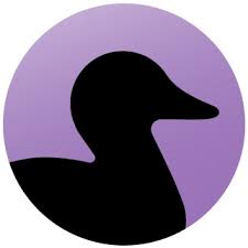 Reduce Friction in DevSecOps with Black Duck - SPK and Associates